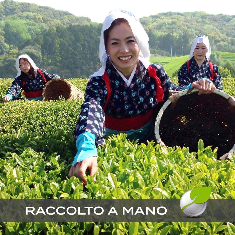 Tè Matcha in Capsule Compatibili Nespresso